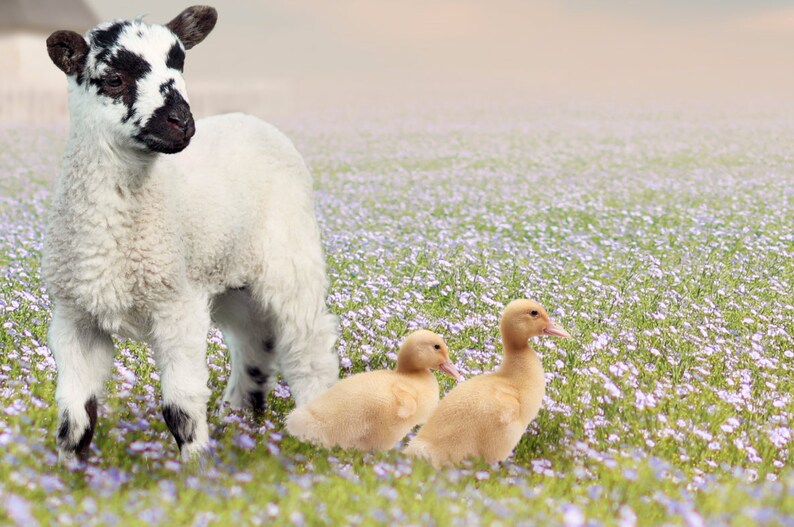 Windmill Backdrop Lamb Background Premade Backdrop - Etsy