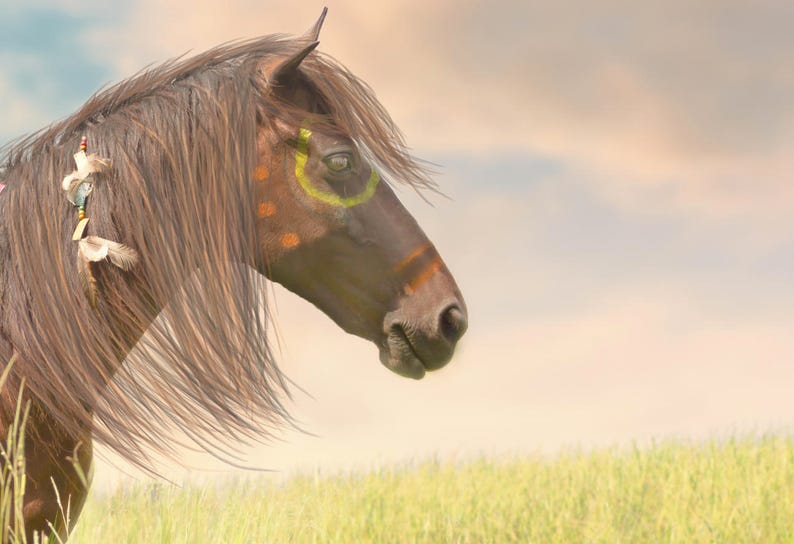 Native American Pony Scene premade Background Pony | Etsy