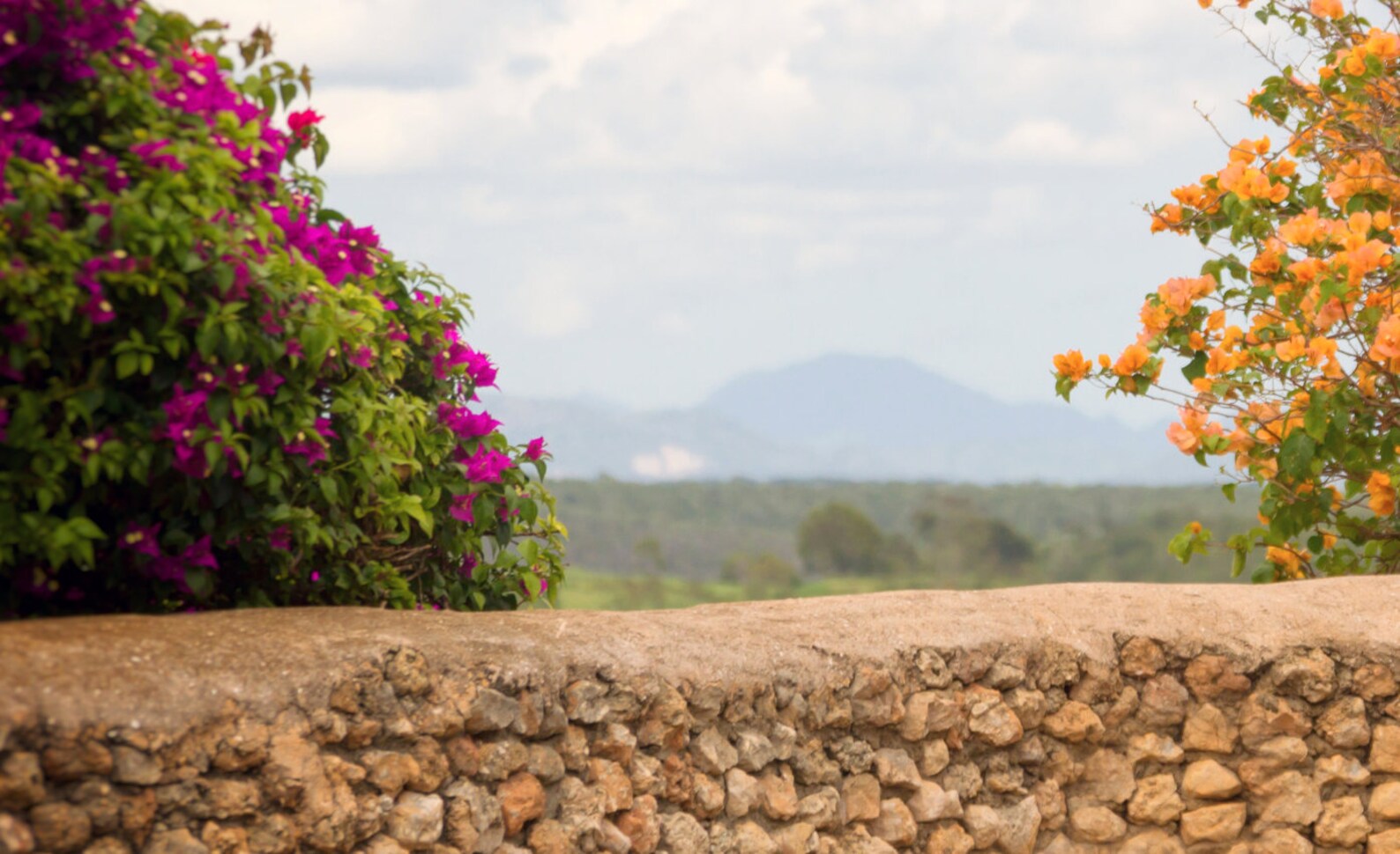 Stone Wall With Flowers Digital Download Stone Wall | Etsy