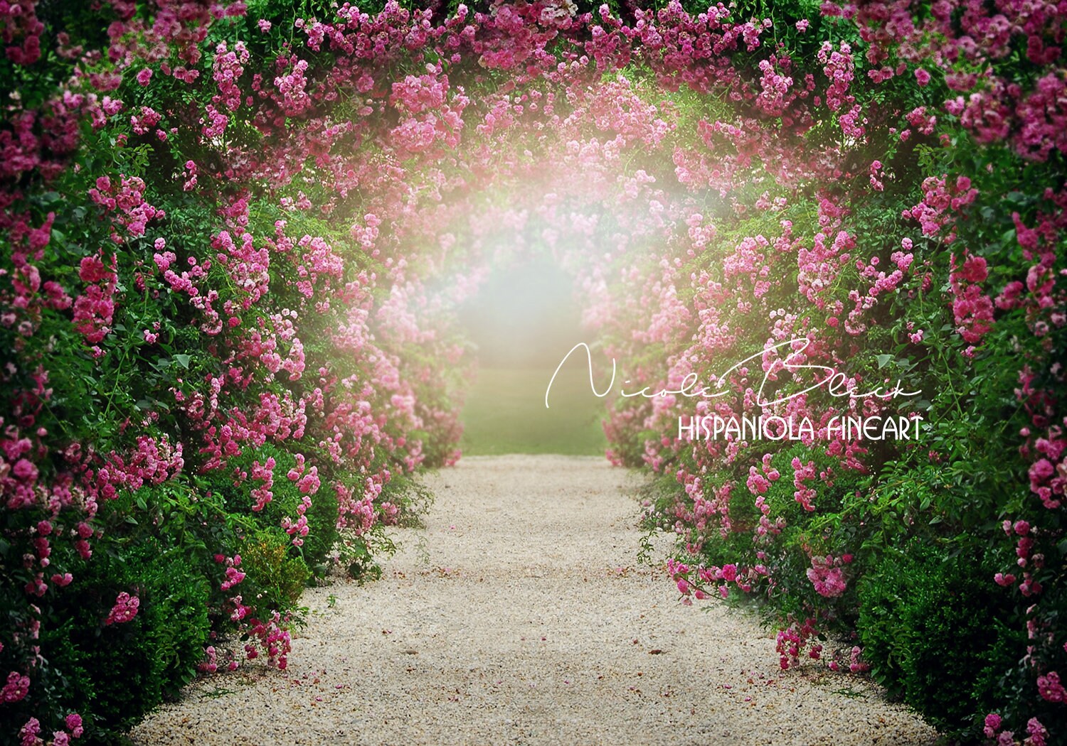 Rose Flowers Backdrop Rose Digital Background Rose Path - Etsy