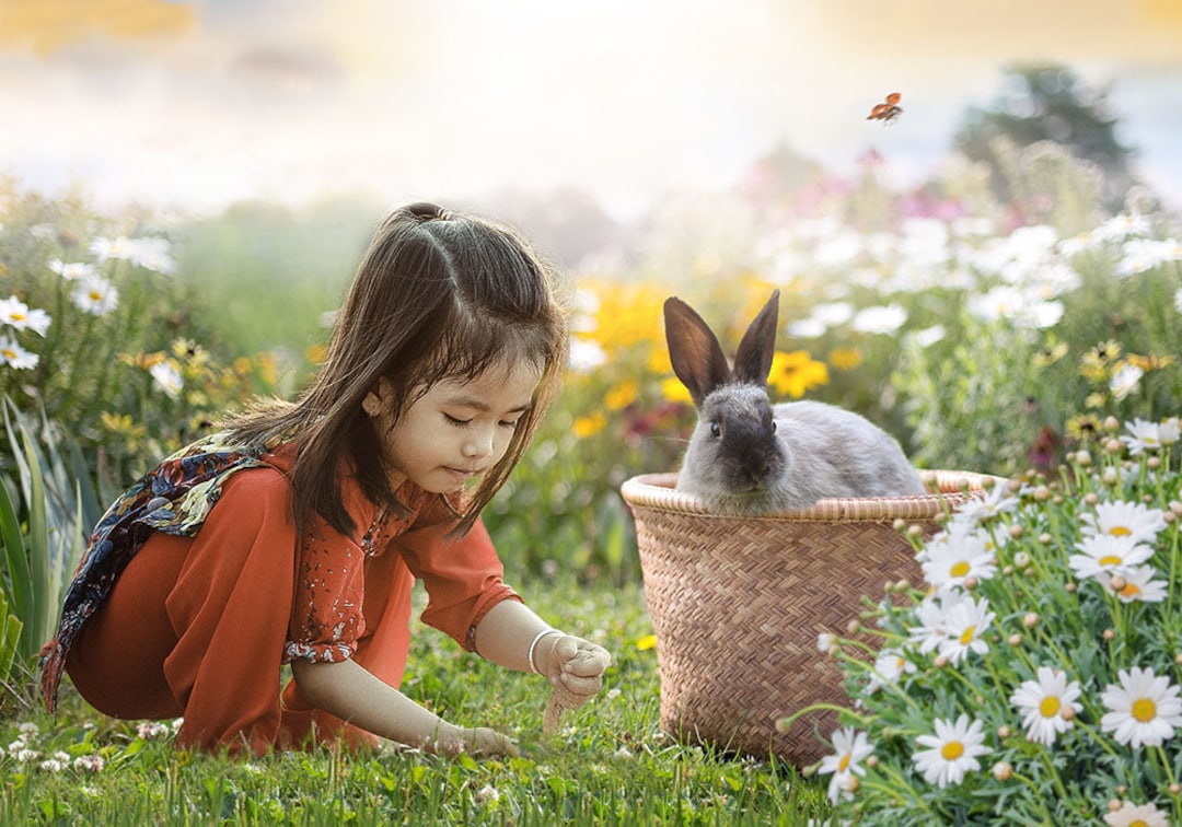 Bunny in Basket Scene Easter Backdrop Premade Backdrop - Etsy