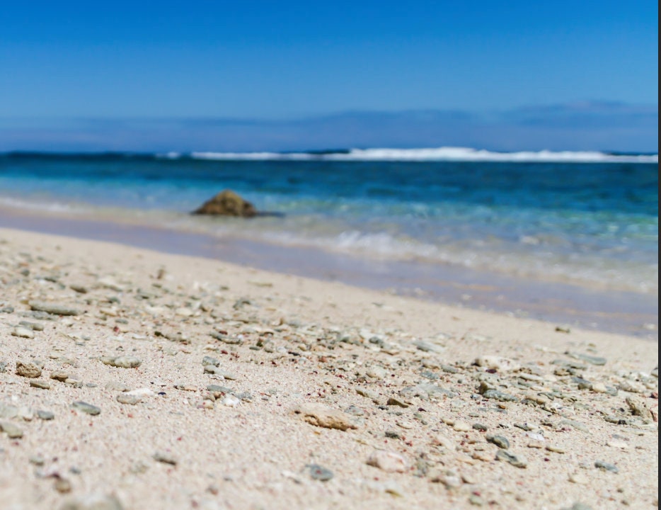 Tropical Beach Backdrop Premade Backdrop Digital Backdrop - Etsy