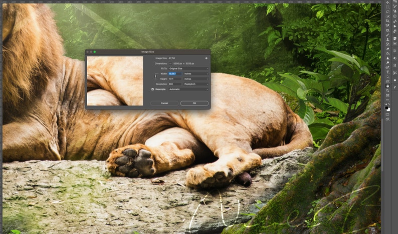 Lion in Forest Backdrop Premade Backdrop Lion Background - Etsy