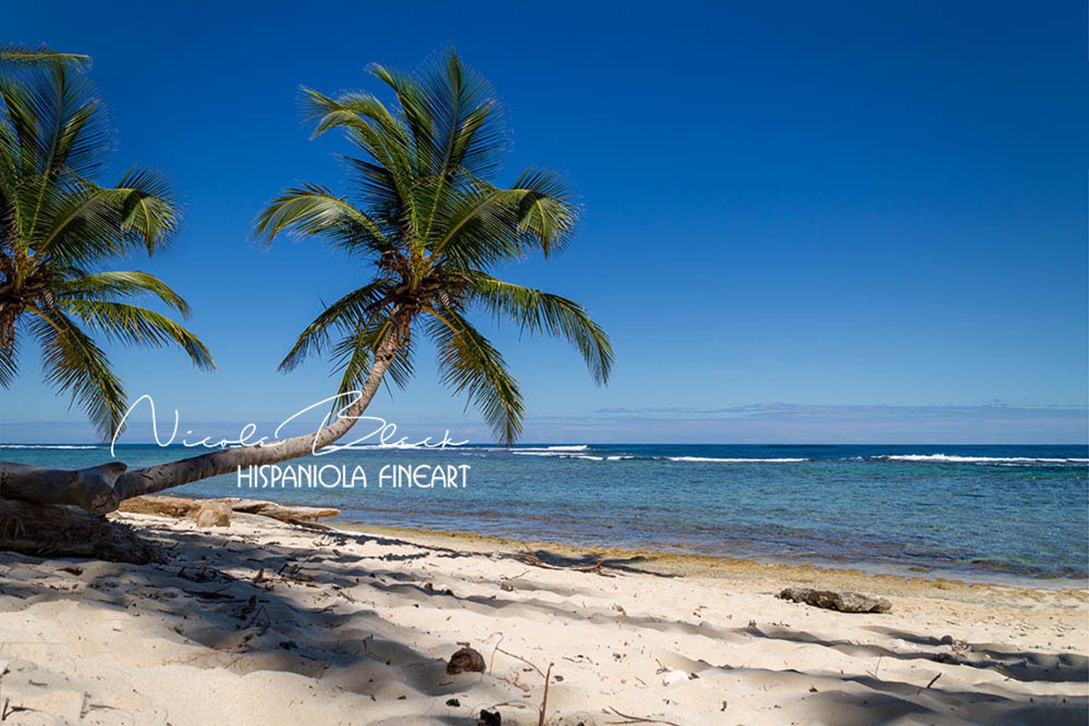 Caribbean Beach scene Beach Backdrop premade Backdrop | Etsy