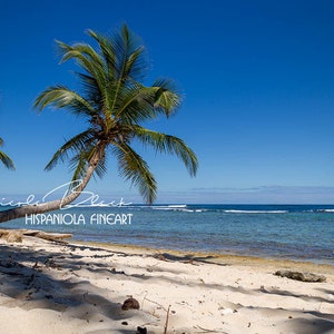 Caribbean Beach Scene Beach Backdrop Premade Backdrop Digital Download ...