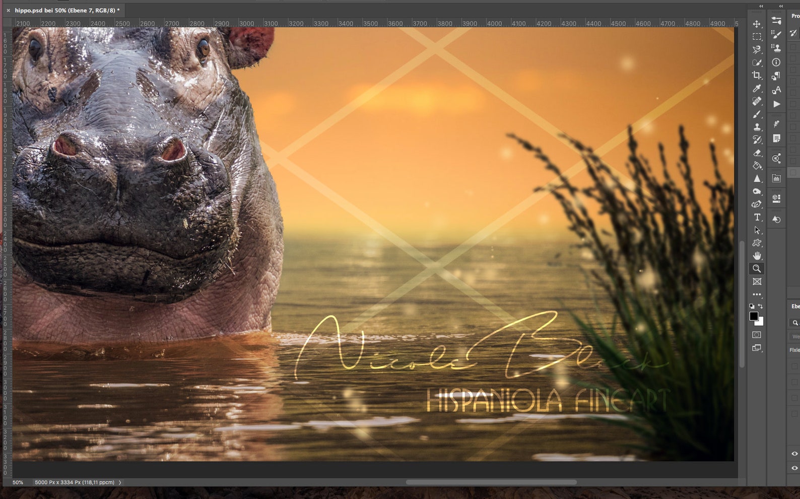 Hippo Digital Backdrop Hippo Composite Photoshop | Etsy