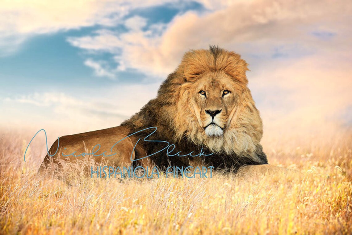 Lion in Grass Backdrop Premade Backdrop Lion Background - Etsy