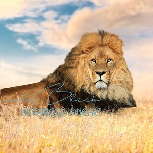 Lion in Grass Backdrop Premade Backdrop Lion Background Digital ...