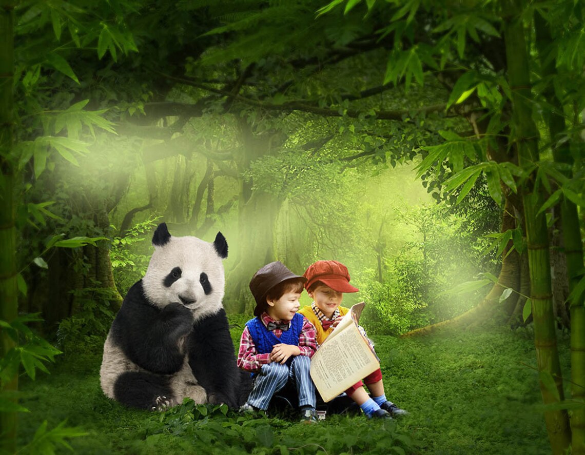 Panda in Forest Scene Panda Backdrop Premade Backdrop - Etsy