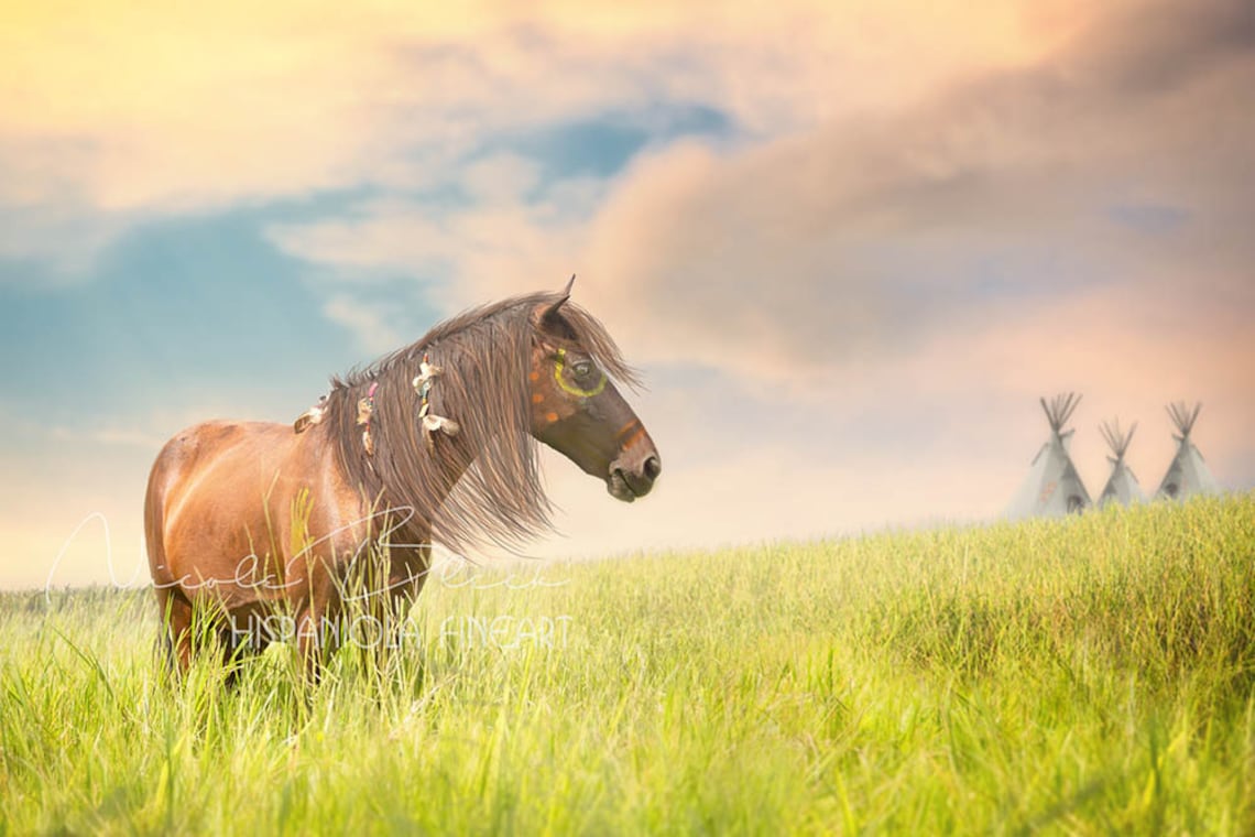 Native American Pony Scene premade Background Pony | Etsy