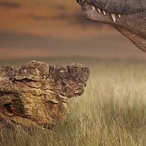 Dinosaur Scene Digital Premade Backdrop Dinosaur Backdrop - Etsy