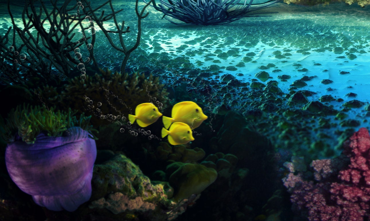 Underwater Backdrop Digital Download Backdrop Mermaid - Etsy