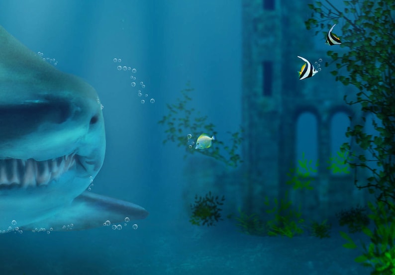 Shark Aquarium Scene Premade Backdrop Shark Backdrop | Etsy