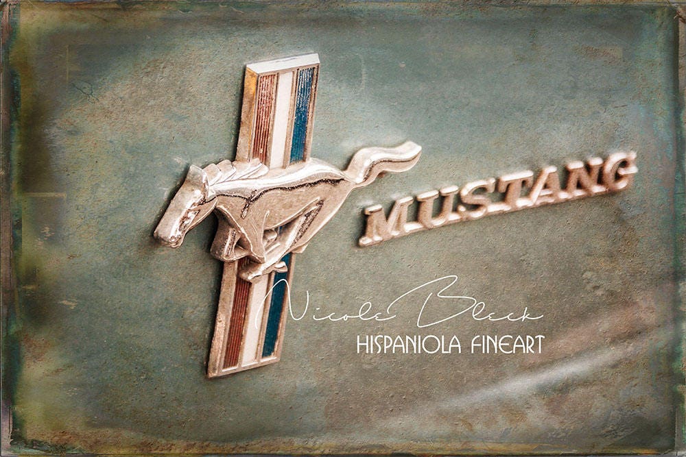 Ford Mustang Horse Car Emblem Car Photography Digital - Etsy