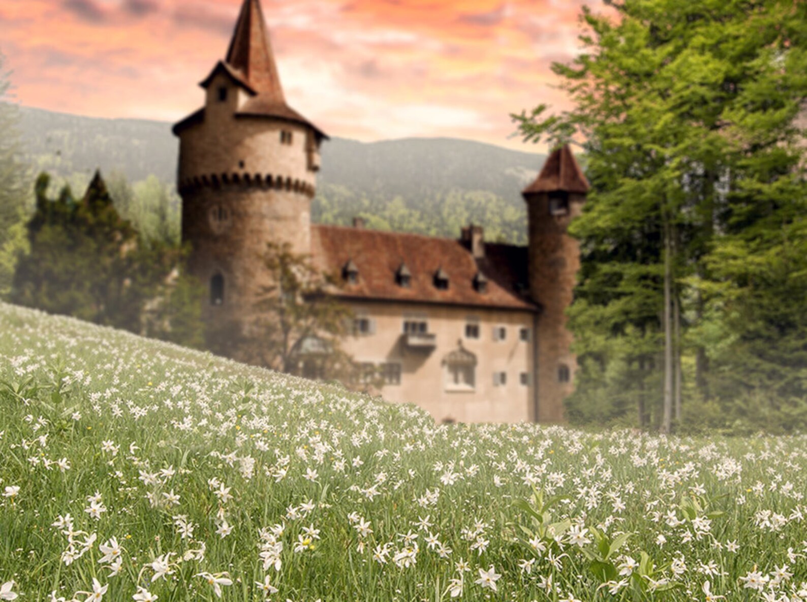 Castle in Forest Premade Backdrop Castle Backdrop | Etsy