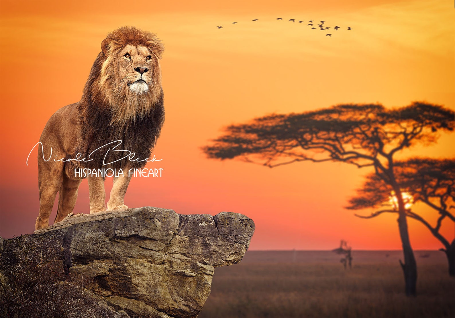 Lion King Sunset Scene Lion Backdrop digital Background | Etsy