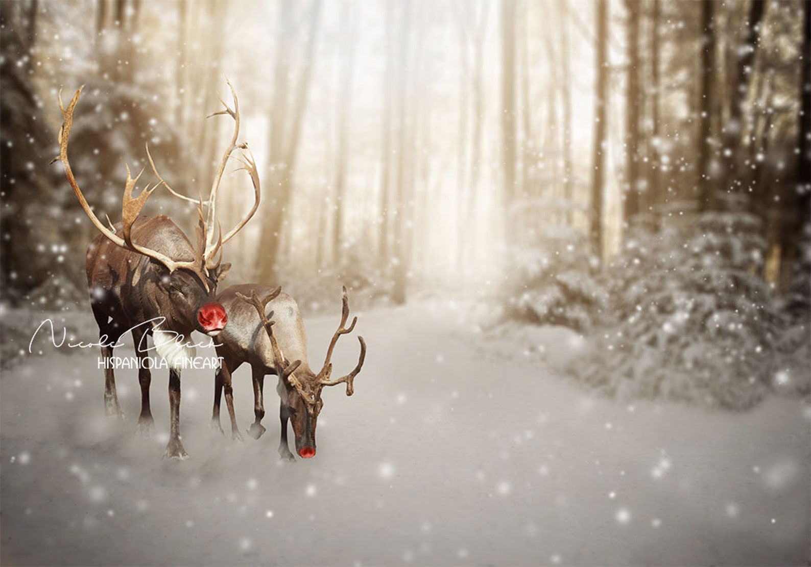 Reindeer Backdrop Digital Backdrop Children Photo Edit | Etsy