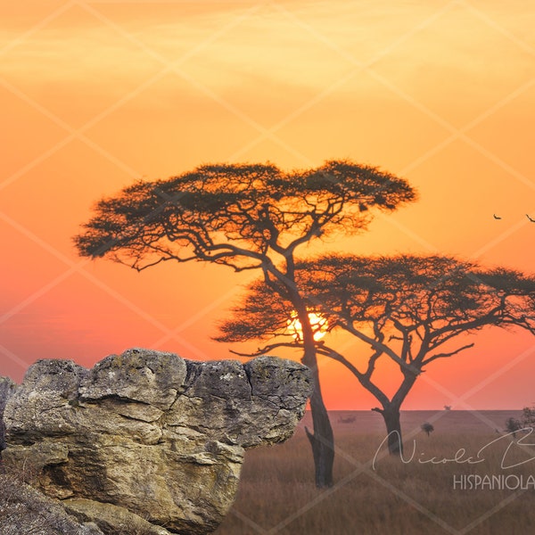 African Backdrop - Etsy