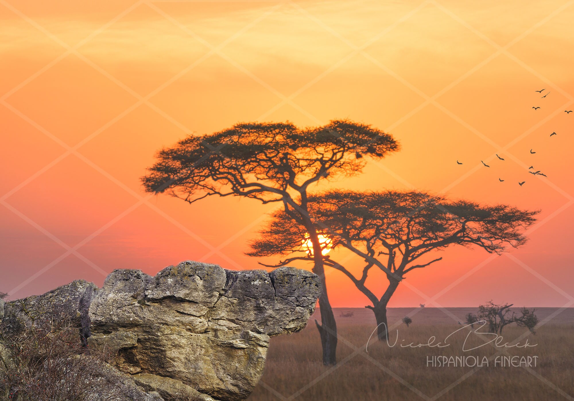 Africa Backdrop Sunset Scene Digital Digital Background - Etsy
