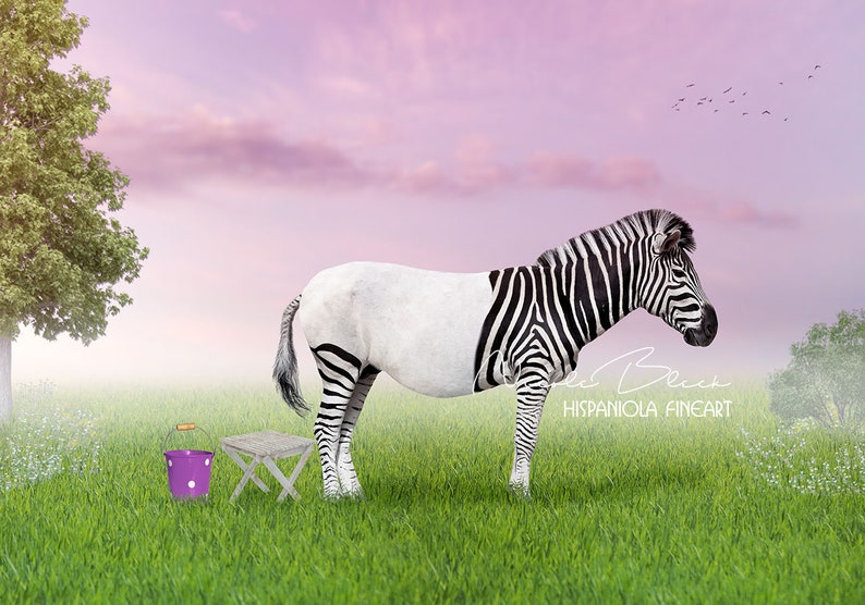 Funny Zebra Background Premade Backdrop Zebra Backdrop - Etsy