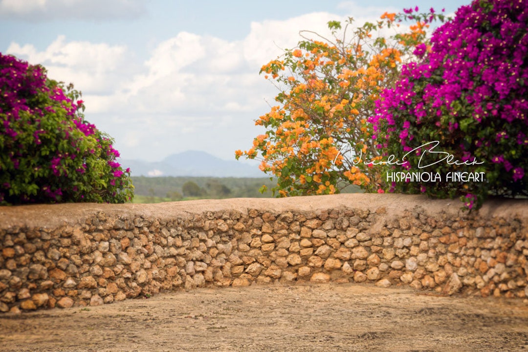Stone Wall With Flowers Digital Download Stone Wall Backdrop Flower ...