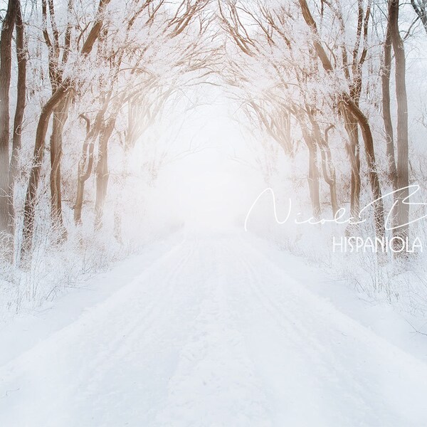 Winter Scene Backdrops - Etsy