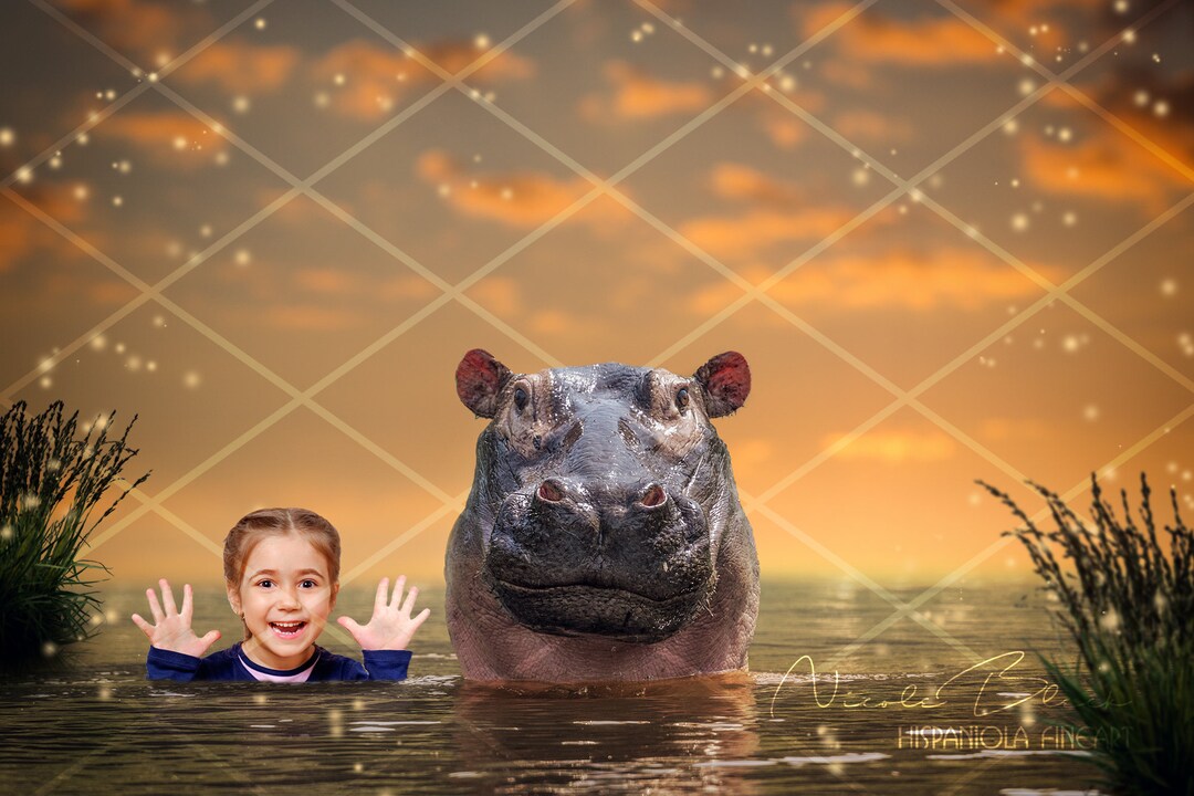 Hippo Digital Backdrop Hippo Composite Photoshop Background Instant ...