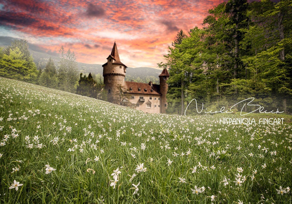 Castle in Forest Premade Backdrop Castle Backdrop - Etsy