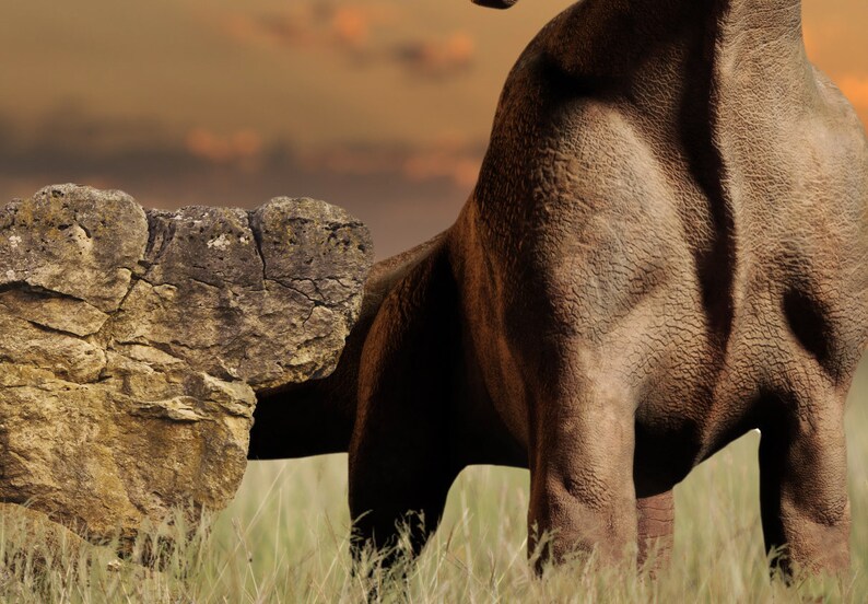 Dinosaur Scene Premade Backdrop Dinosaur Backdrop - Etsy Canada