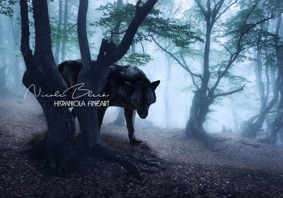 Black Wolf Scene Premade Backdrop Wolf Backdrop Digital | Etsy