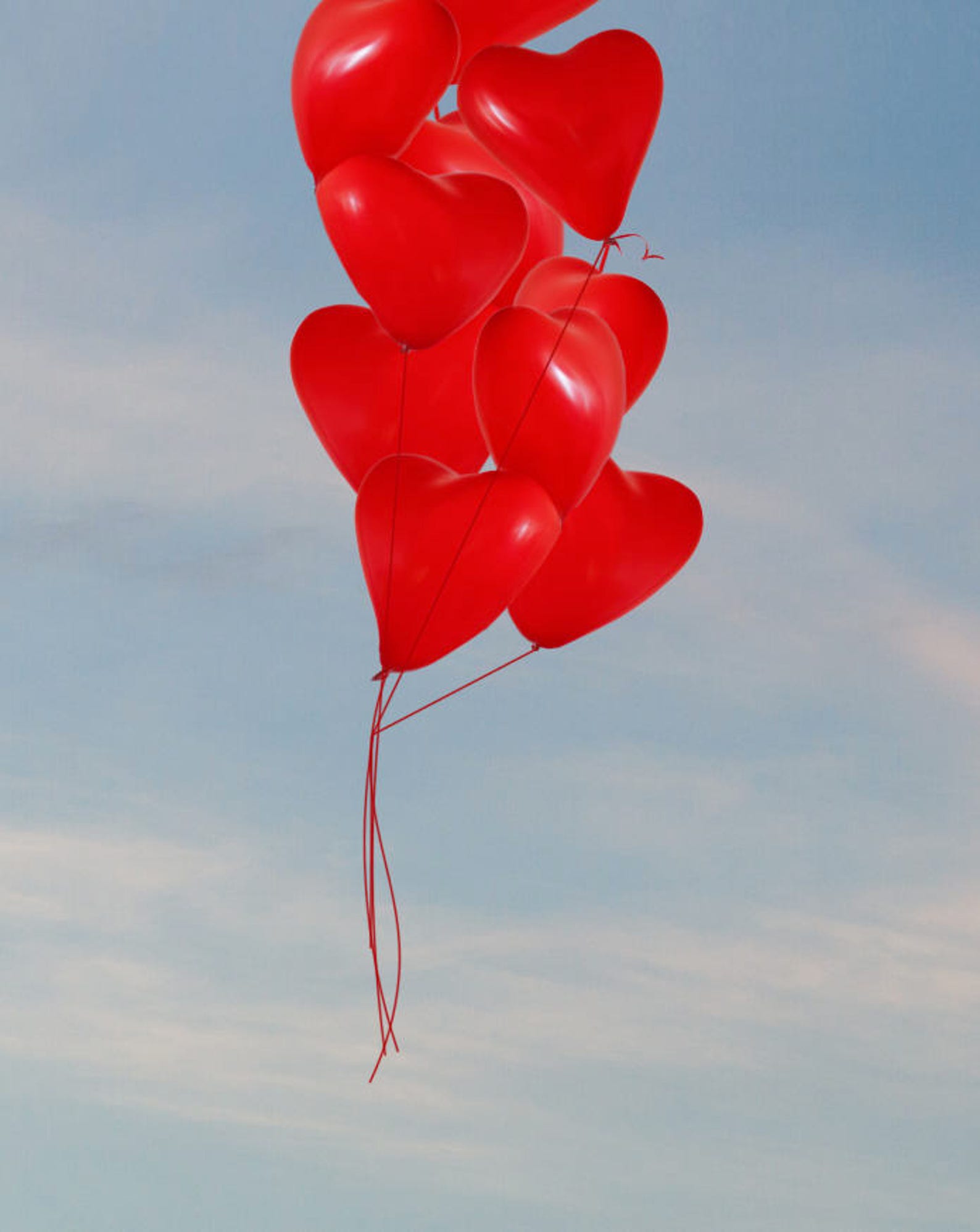 Heart Balloon Scene Valentines Backdrop Instant Download - Etsy