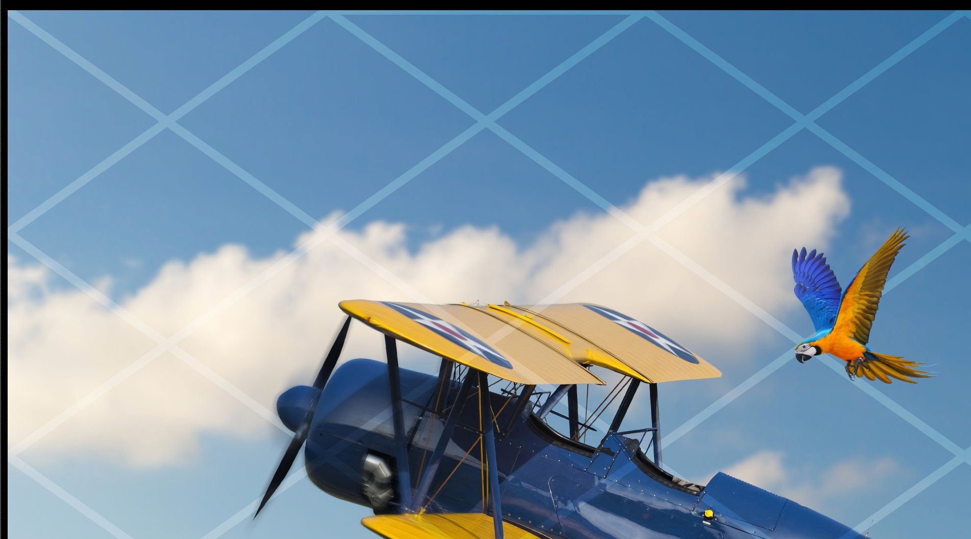 Biplane Plane Backdrop Airplane Digital Backdrop Premade - Etsy