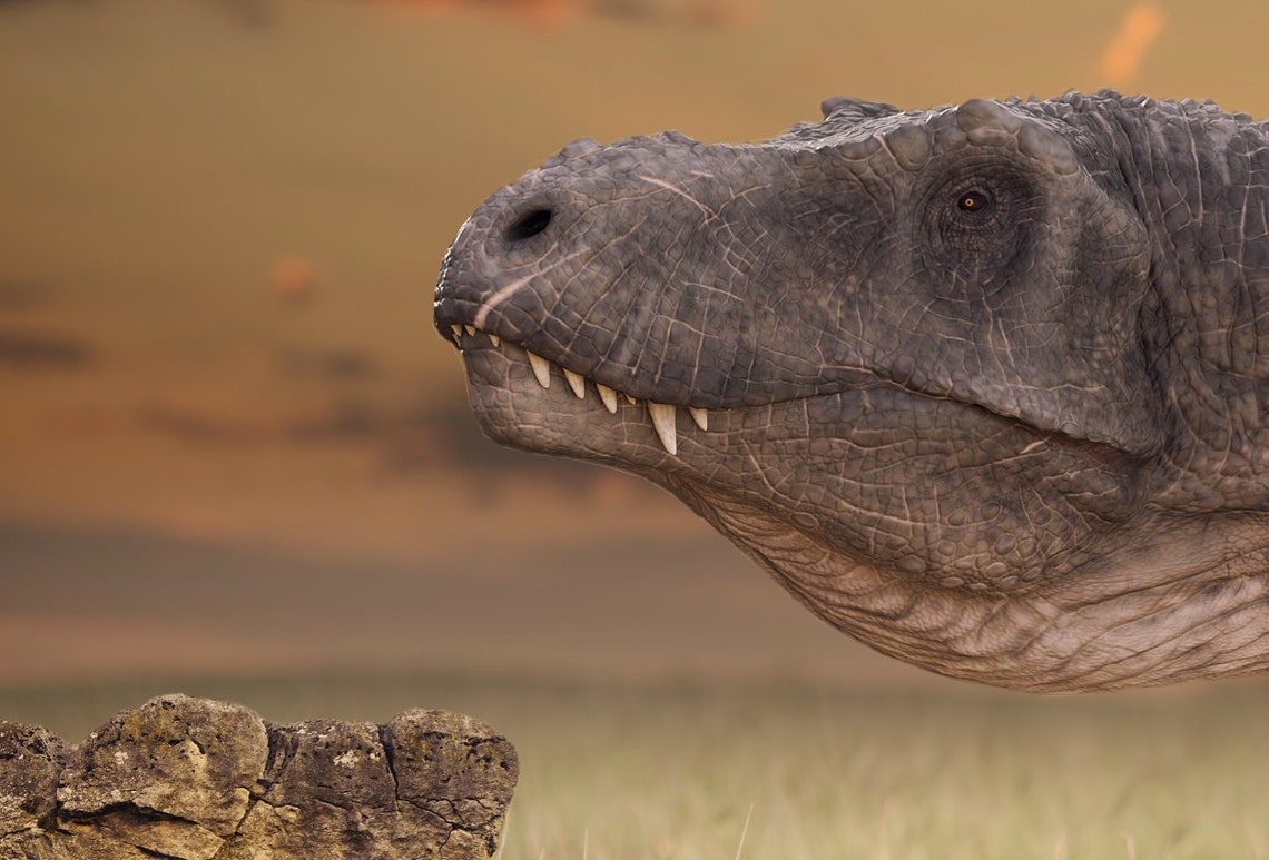 Dinosaur Scene Digital Premade Backdrop Dinosaur Backdrop - Etsy