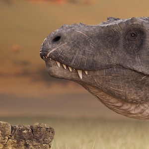 Dinosaur Scene Digital Premade Backdrop Dinosaur Backdrop - Etsy