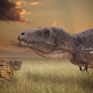 Dinosaur Scene Digital Premade Backdrop Dinosaur Backdrop - Etsy