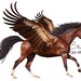 Pegasus Overlay Photo Overlay Flying Horse Overlay - Etsy