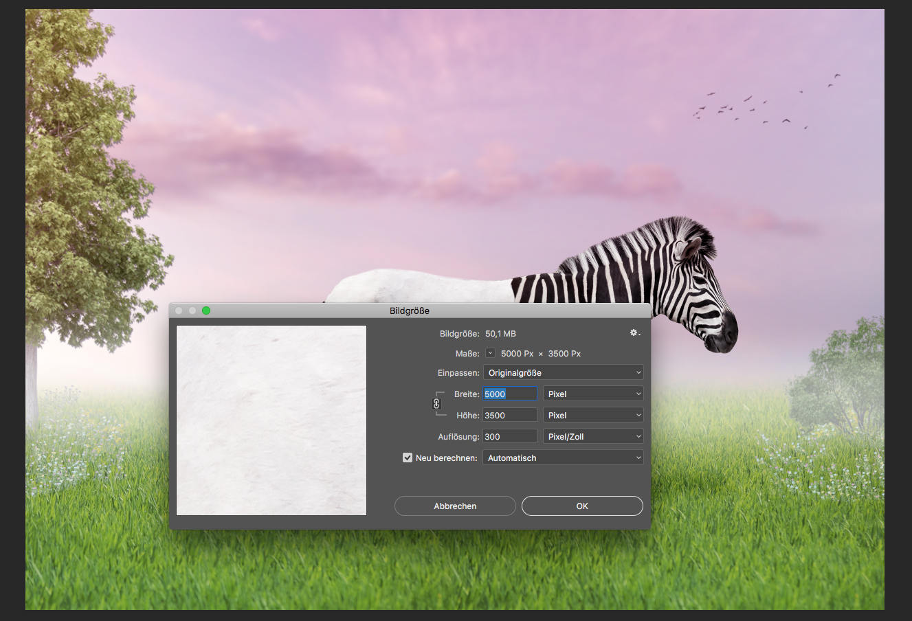 Funny Zebra Background Premade Backdrop Zebra Backdrop | Etsy