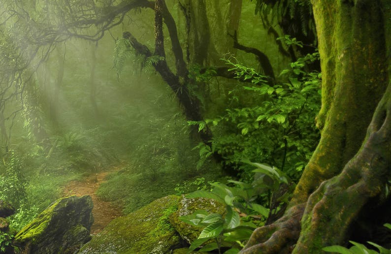 Gorilla in the jungle scene premade Backdrop Gorilla | Etsy