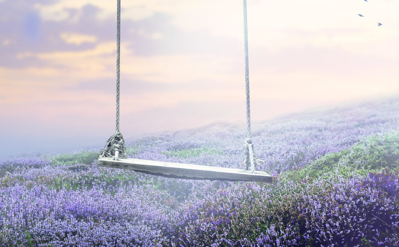 Floral Swing Digital Swing Backdrop Digital Backdrop | Etsy