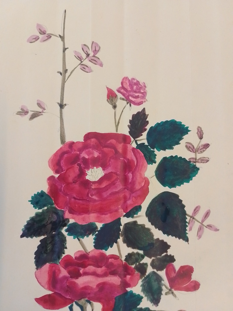 Musk Rose Rosa Moschata Desi Gulab Botanical Illustration Handmade ...