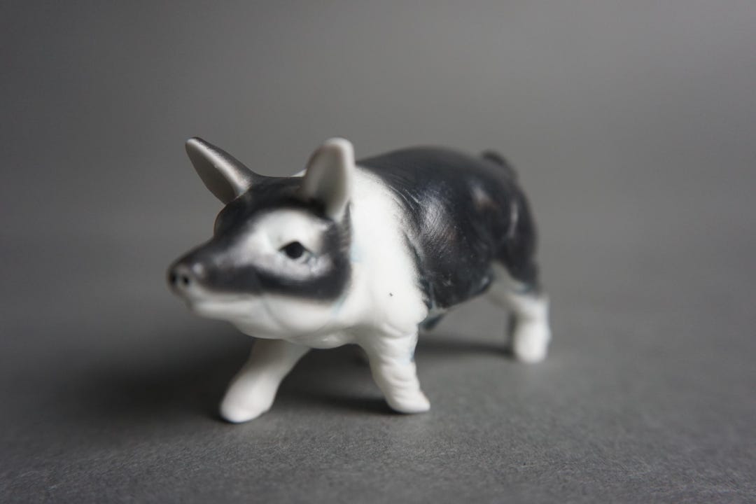 Vintage Black & White Bone China Pig Figurine, Boar, Hampshire Pig ...