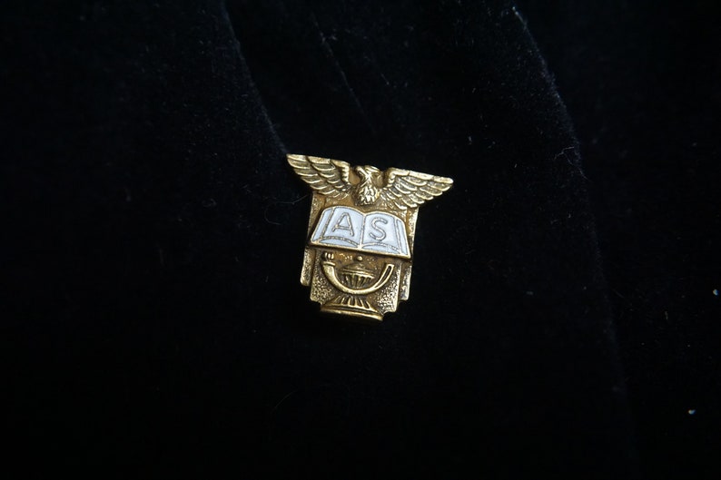 Enamel Lapel Pins Gold AS School Award Pin NSC 5 Year - Etsy