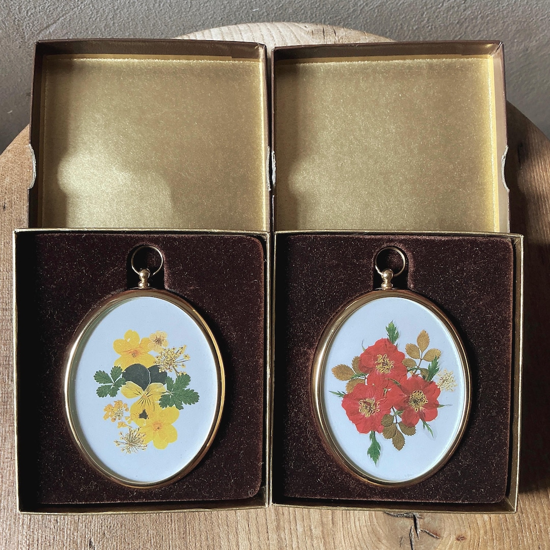 Peter Bates Miniature Pressed Flower Print, Oval Brass Frame, Boxed ...