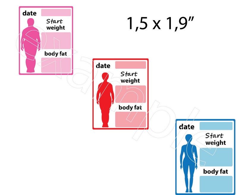 Weight Loss Stickers Diet Stickers Fitness Stickers for | Etsy