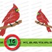 Cardinal Embroidery Design, Bird Cardinal Machine Embroidery Design ...