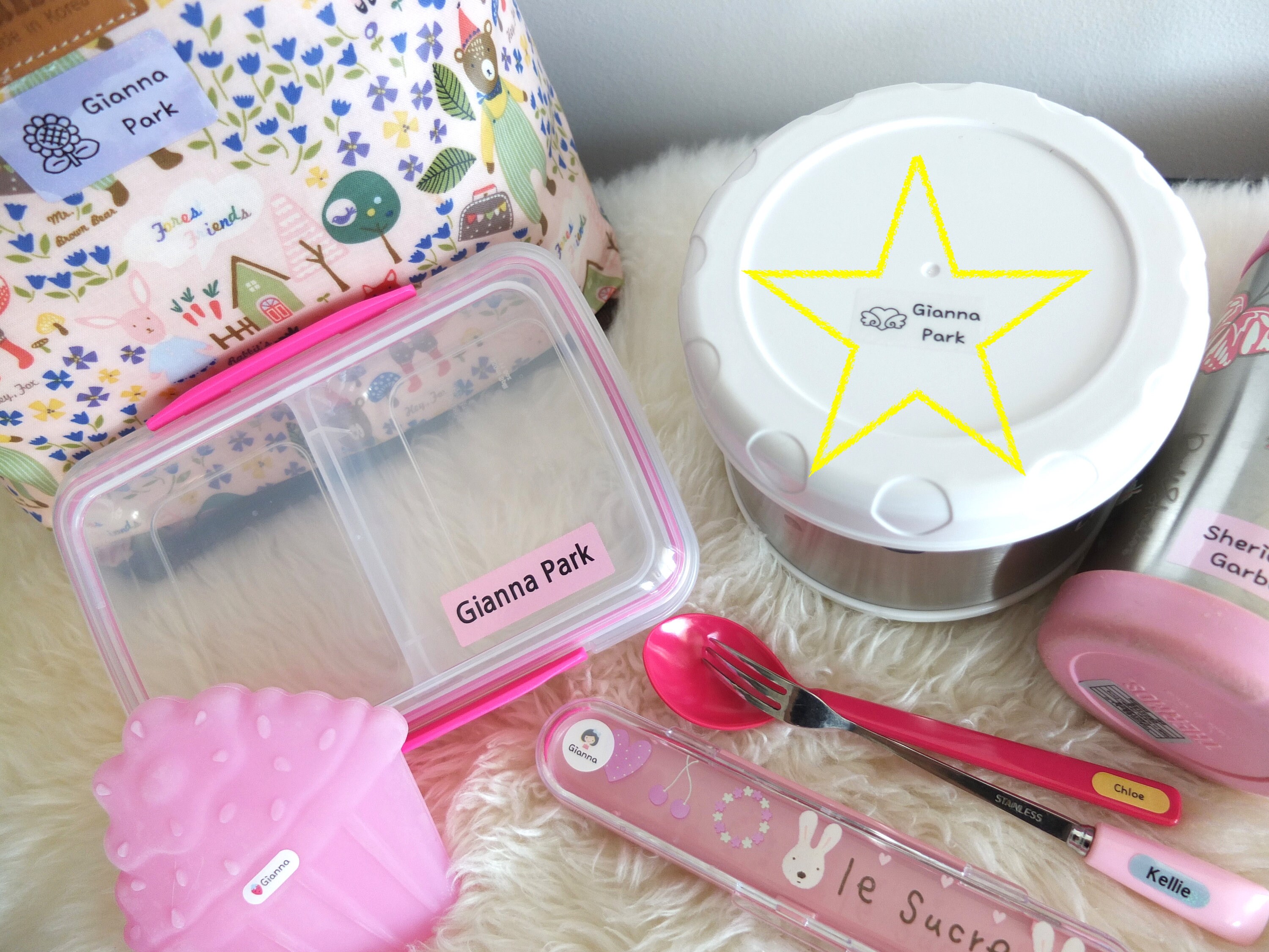 Waterproof CLEAR Name Sticker Medium Size MIXED DESIGN (120 Stickers ...