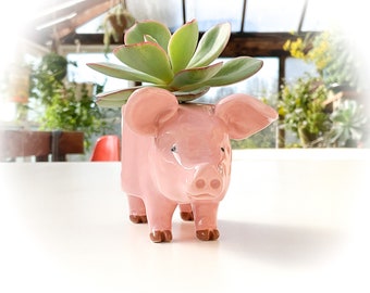 Pig Planter | Etsy