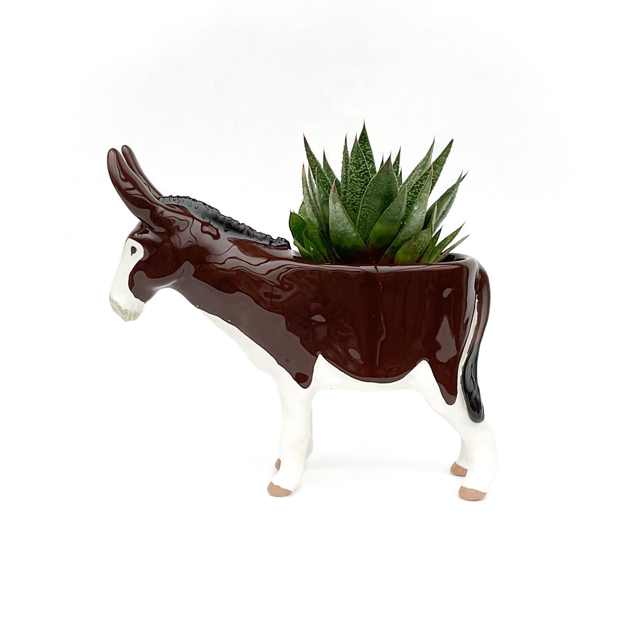 American Mammoth Jackstock Pot Donkey Planter Farm Animal - Etsy