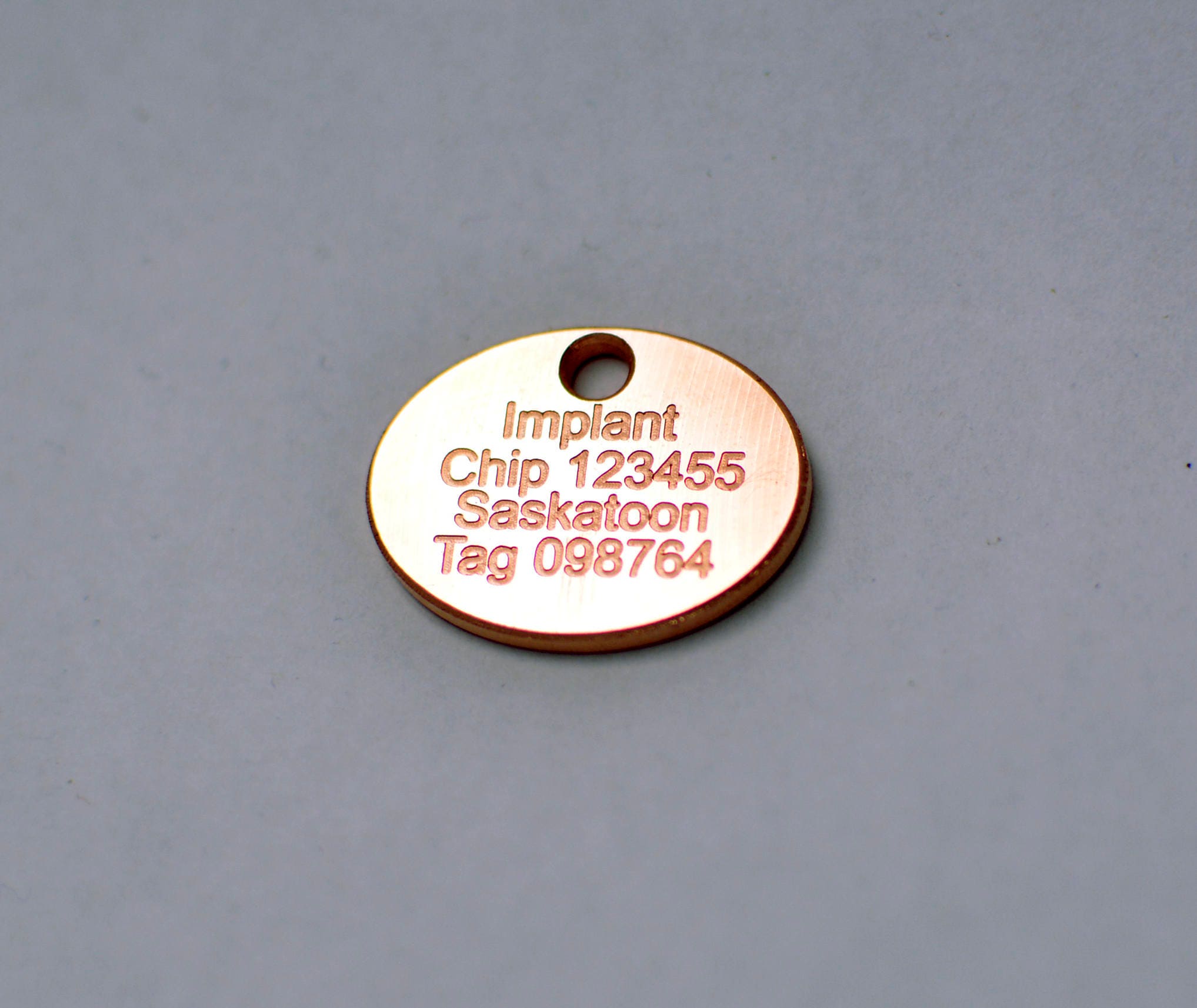 Pet Tag Made of Copper / Brass - Etsy