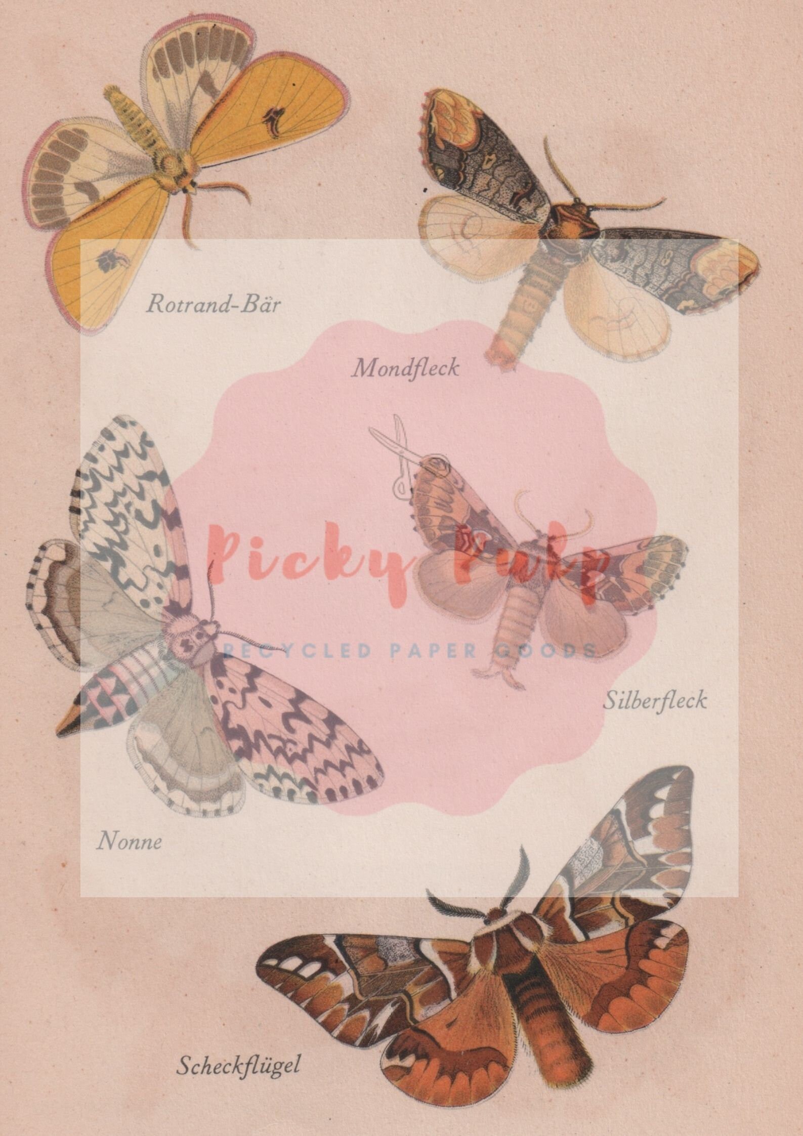 PRINTABLE Antique Moths German Illustrations Encyclopedia Book | Etsy